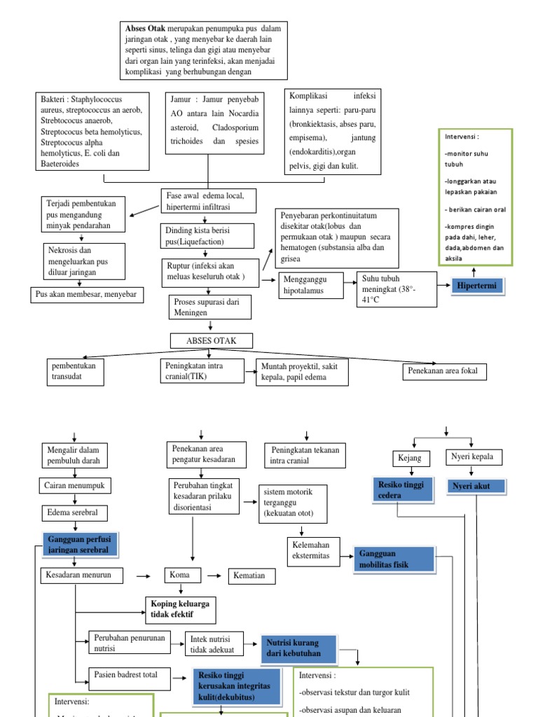 Woc Abses Serebri | PDF