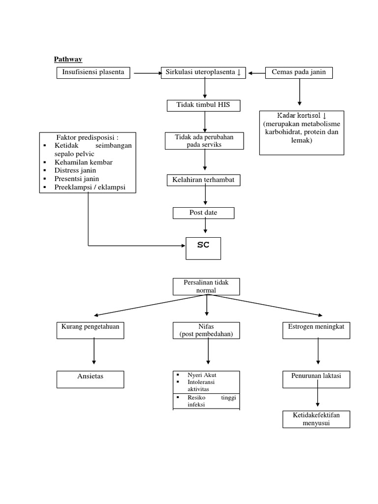 Pathway Post SC | PDF