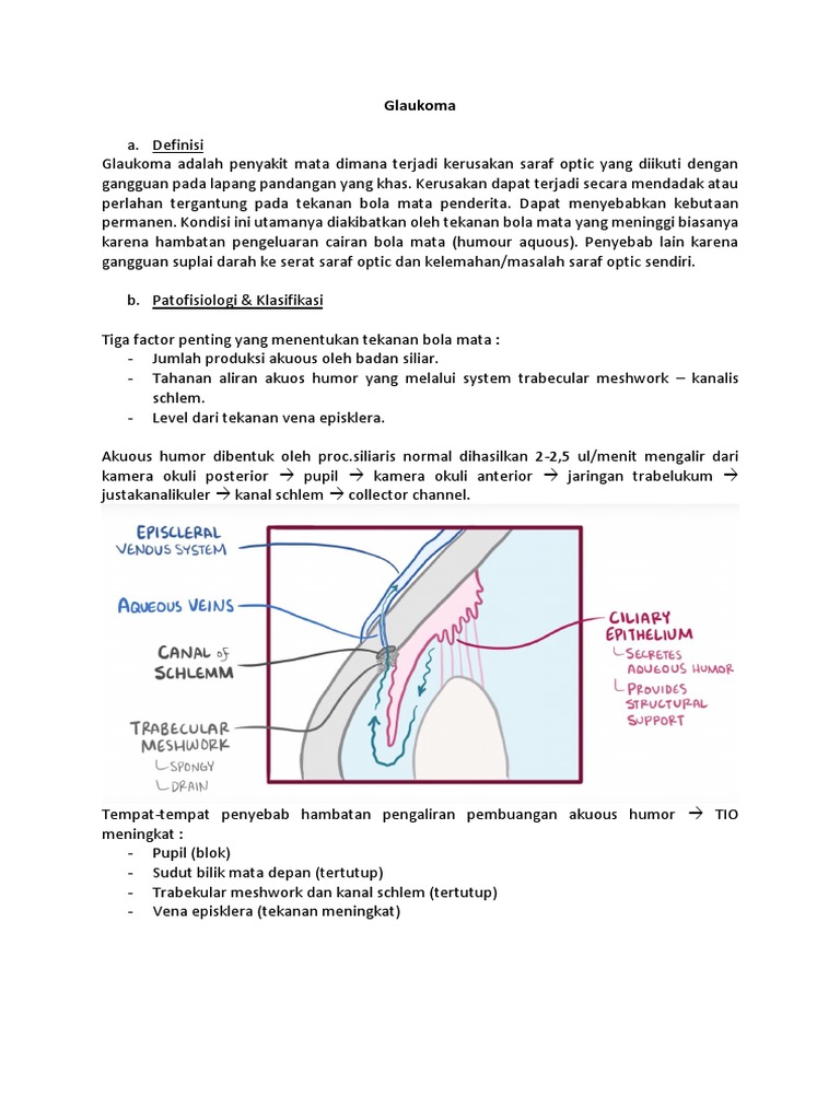 Glaukoma | PDF | Kesehatan Holistik | Sains & Matematika