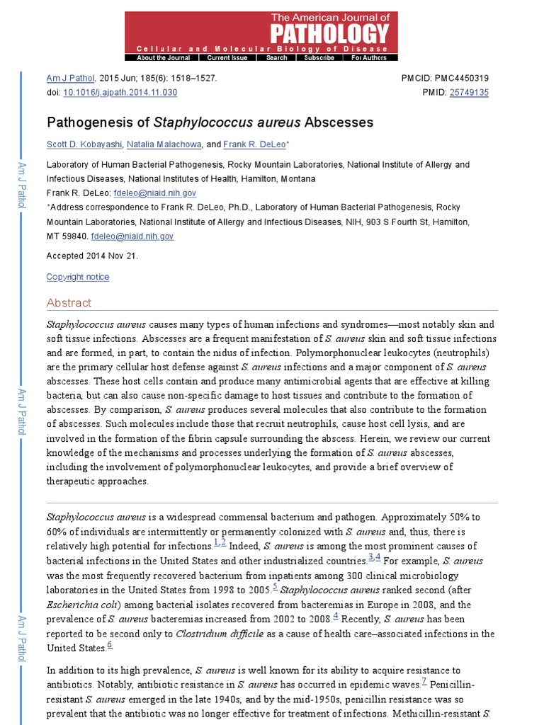 Pathogenesis of Staphylococcus aureus Abscesses