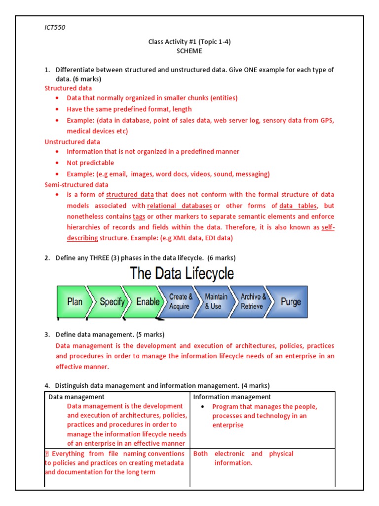 Data Management - Class Activities Chapter 1-4 | PDF