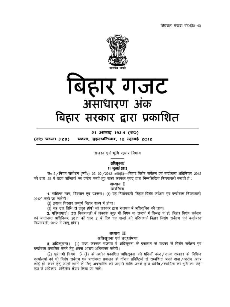 Bihar Land Survey Form 2 Guidelines | PDF