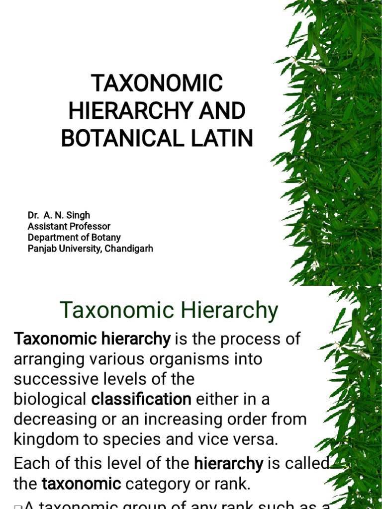 A Comprehensive Examination of Taxonomic Hierarchy, Botanical Latin ...