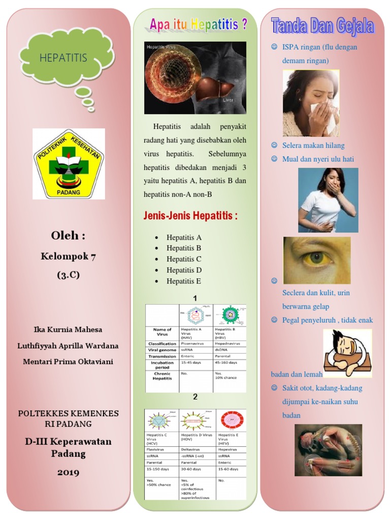 Leaflet Hepatitis | PDF