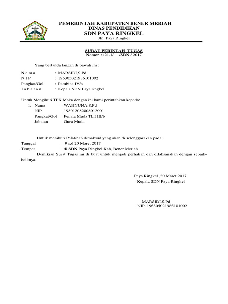 Surat Perintah Tugas - SPT | PDF