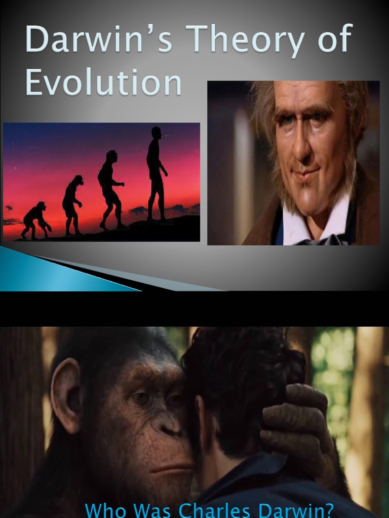 Darwin's Evolution Theory Explained | PDF | Evolution | Heredity