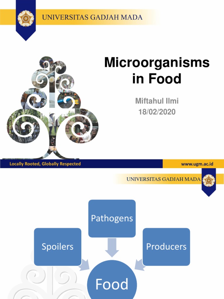 Microorganisms in Food PDF | PDF | Bacteria | Fungus