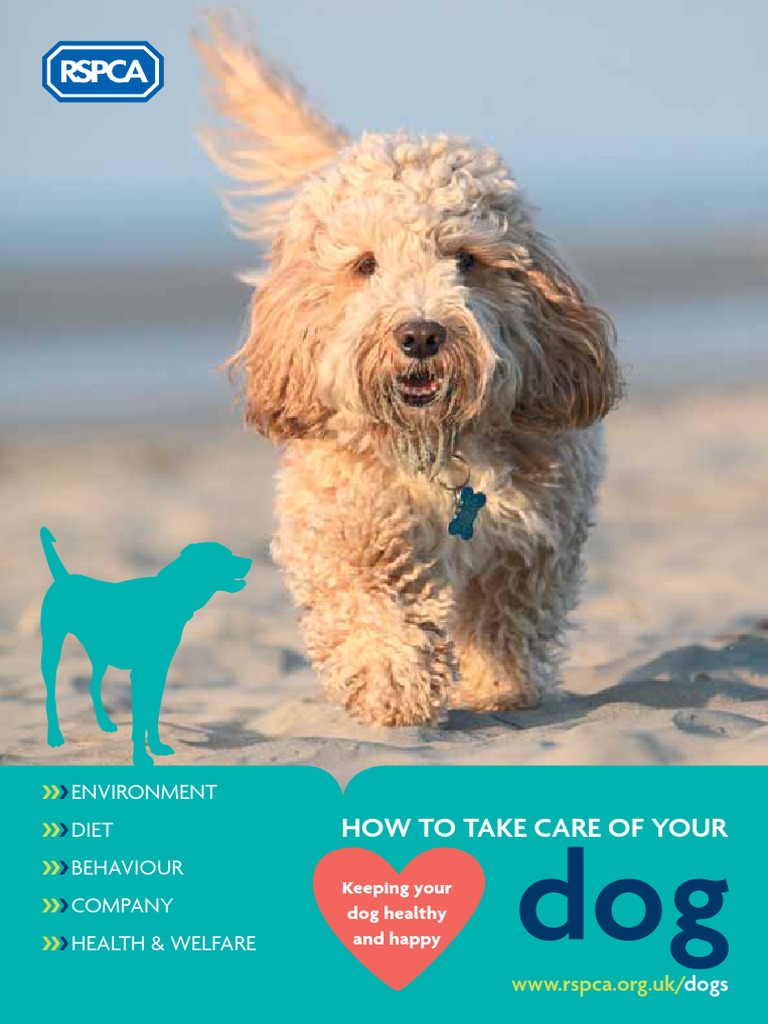 Essential Dog Care Guide | PDF | Animal Welfare | Dogs