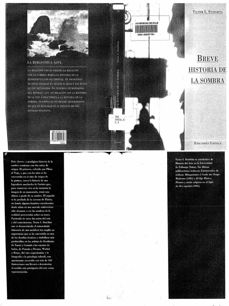 Breve Historia de La Sombra Victor Stoichita