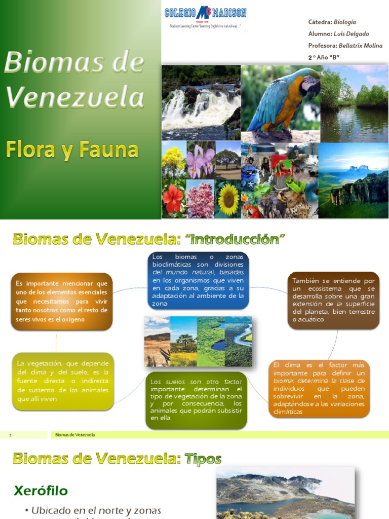 Biomas de Venezuela: Tipos y Características | PDF | Selva | Venezuela