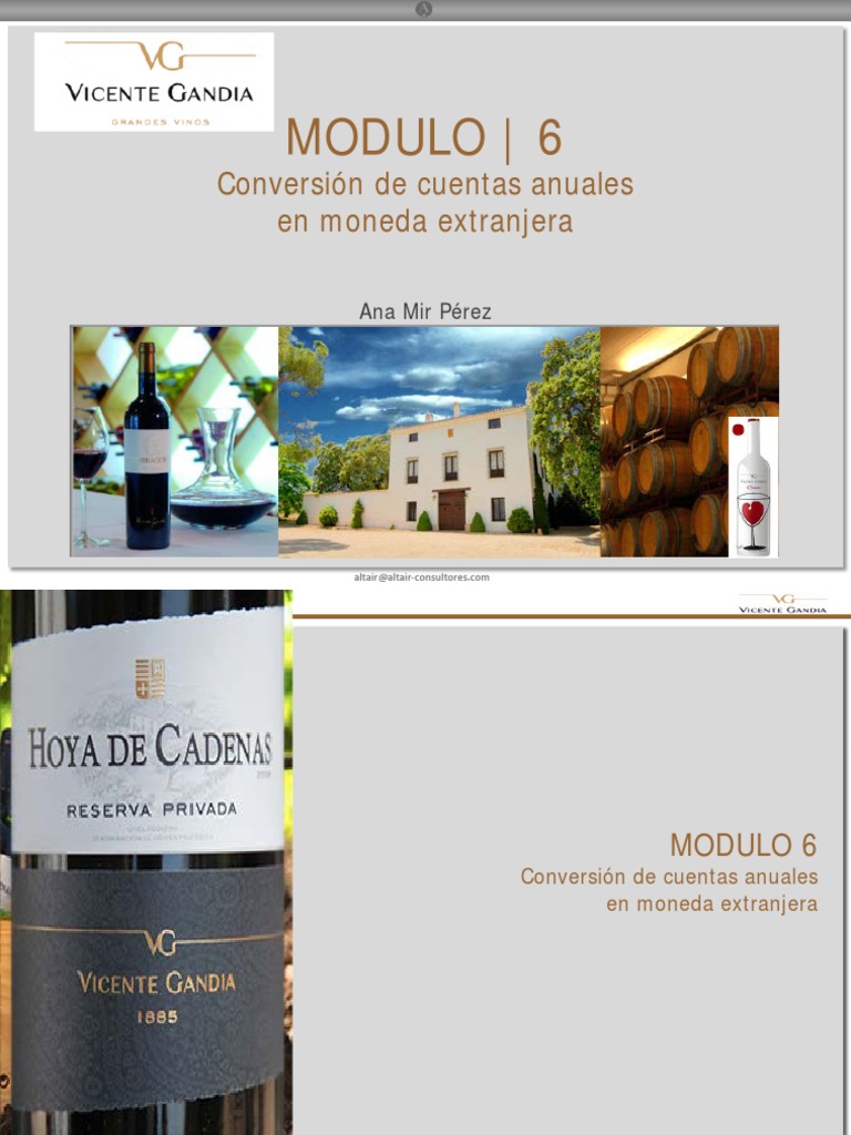 06 Conversion de CCAA en Moneda Extranjera PDF | PDF | Valor neto ...