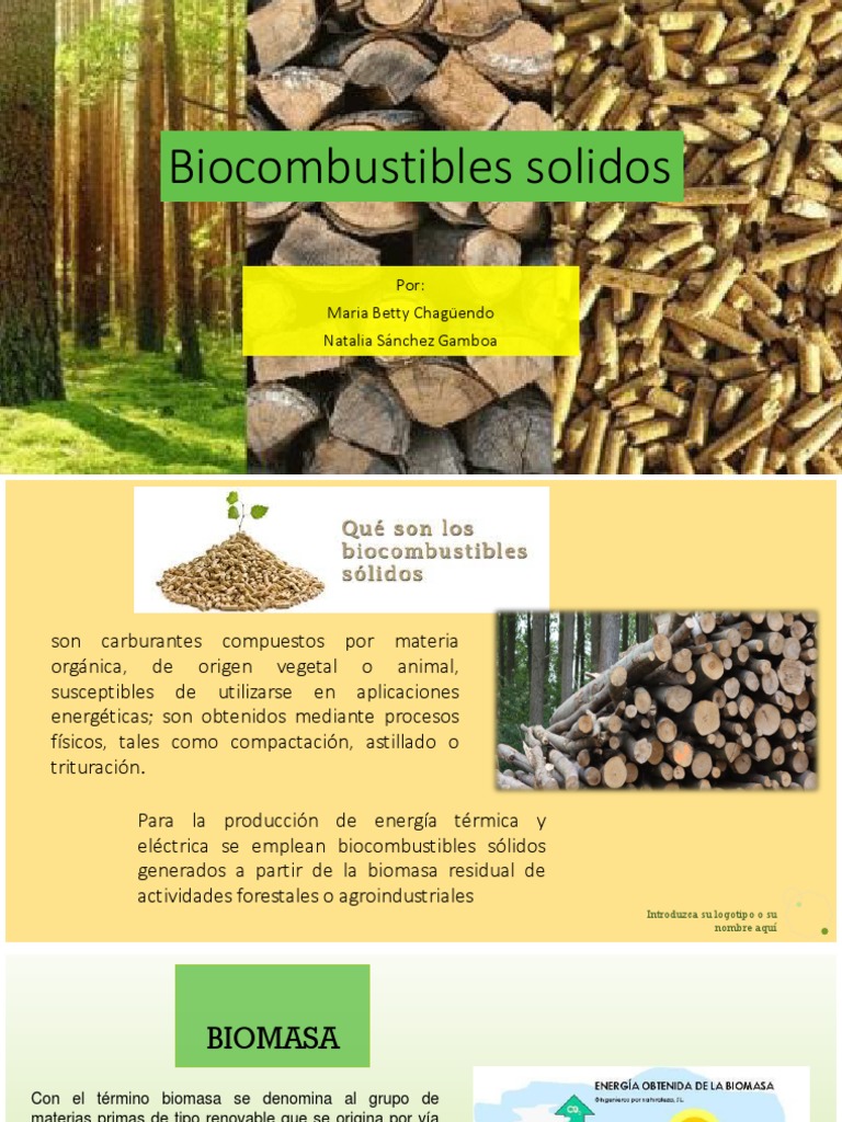 Biocombustibles Solidos | PDF | Biomasa | Carbón