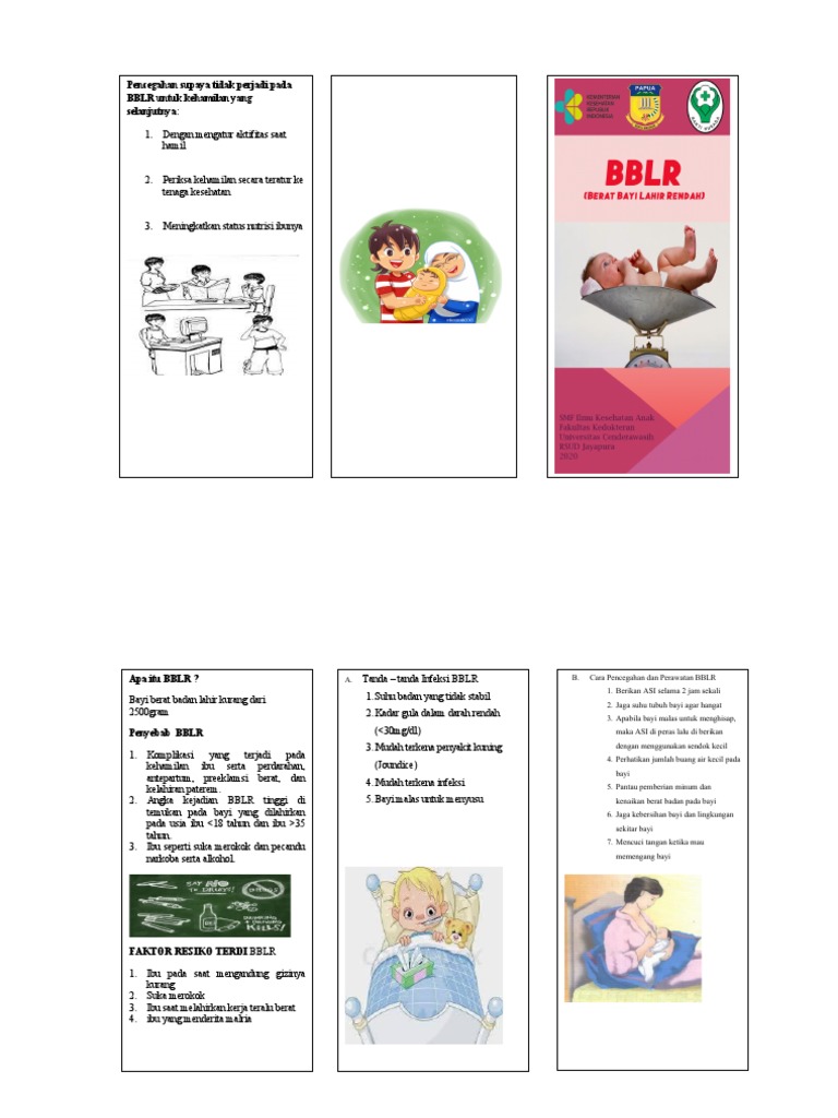 Leaflet BBLR | PDF | Sains & Matematika | Gaya Hidup
