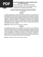 RX de Pie | PDF | Pie | Extremidades (anatomía)