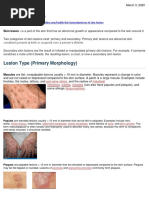 Target and Targetoid Lesions in Dermatology | PDF | Diseases And ...