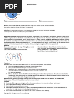 Drawing Out The Phases of Mitosis: 1. Interphase | PDF