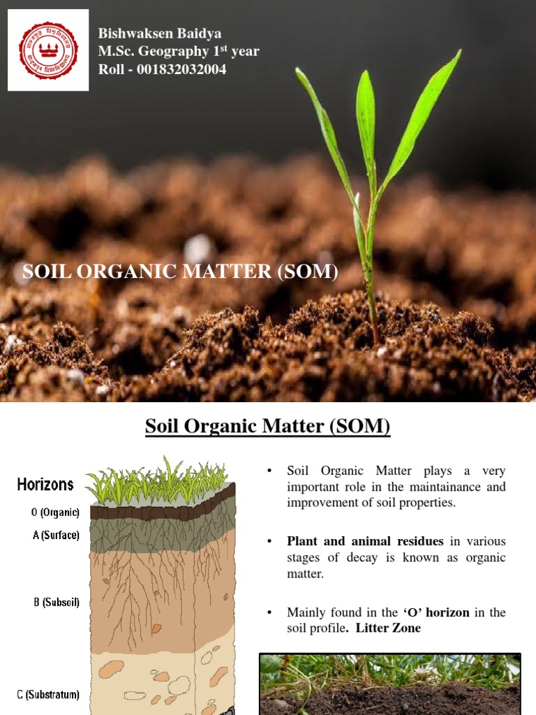 Soil Organic Matter PDF | PDF | Organic Matter | Soil
