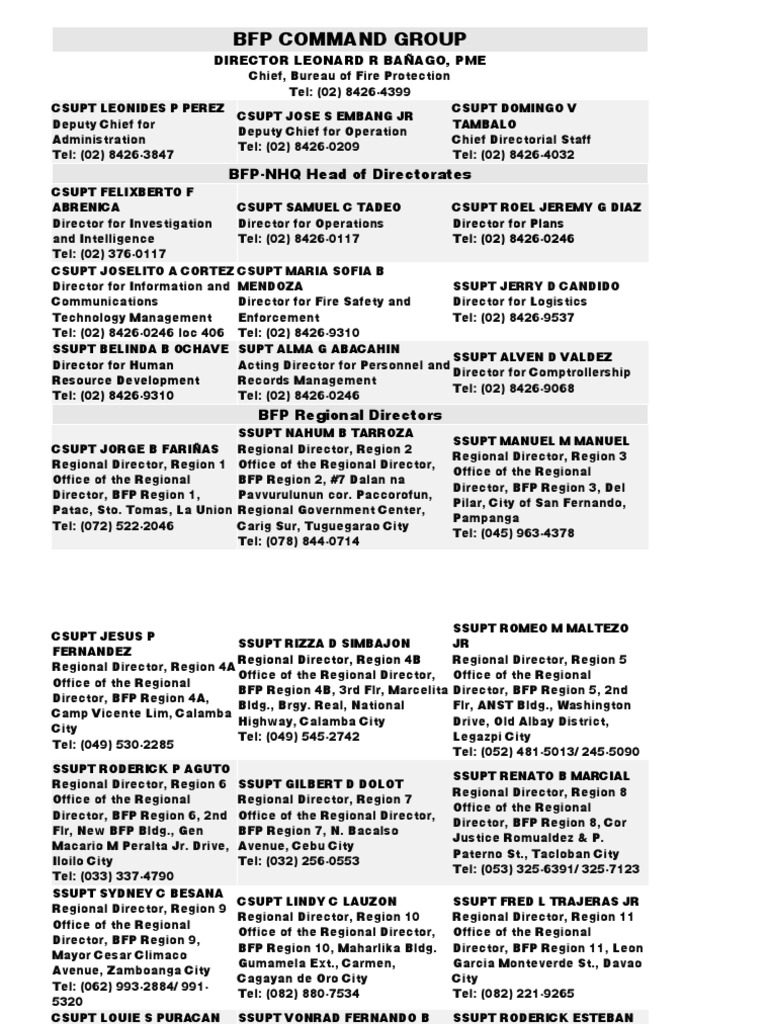 BFP Command Group | PDF | Business | Violence