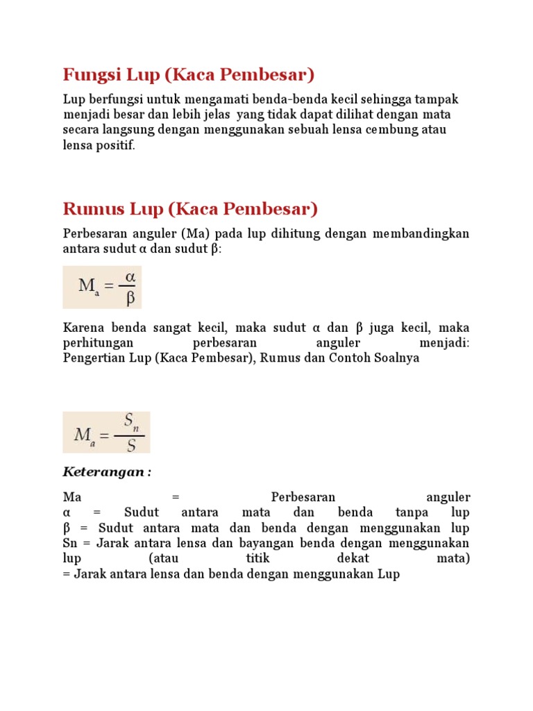 Fungsi Lup | PDF
