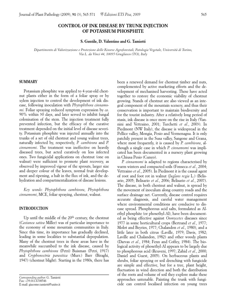 Potassium Phosphite for Ink Disease Control | PDF | Trees | Plants