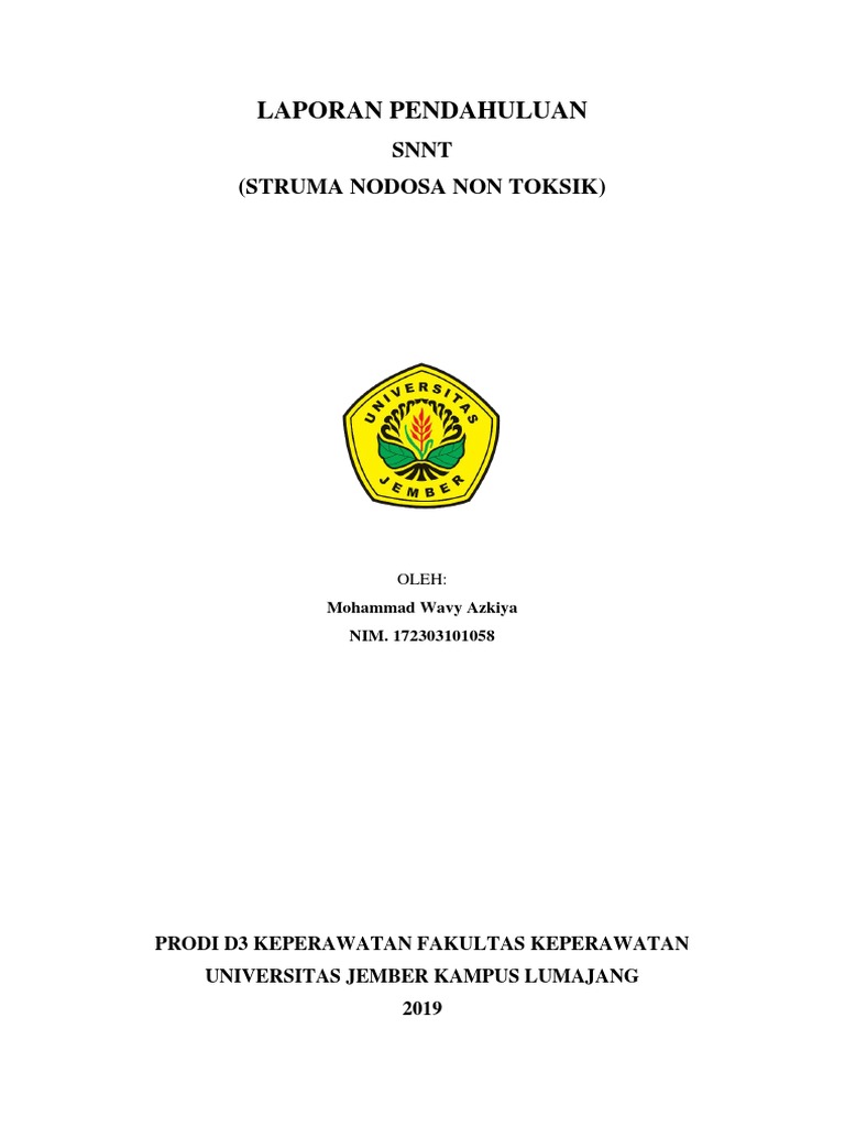 Laporan Pendahuluan SNNT | PDF