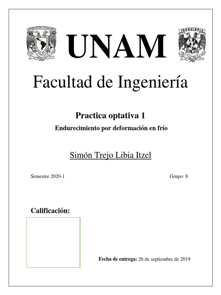Practica Optativa 1 | PDF | Aluminio | Rieles