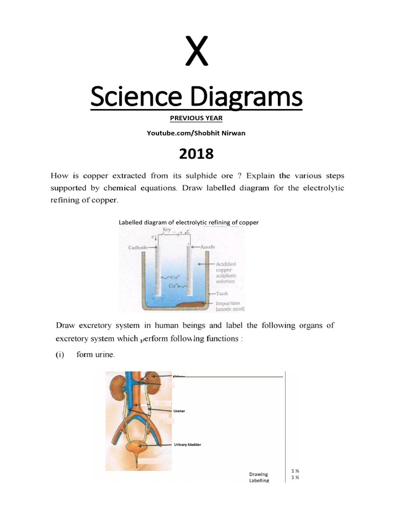 Science Diagrams for Class 10 Study | PDF