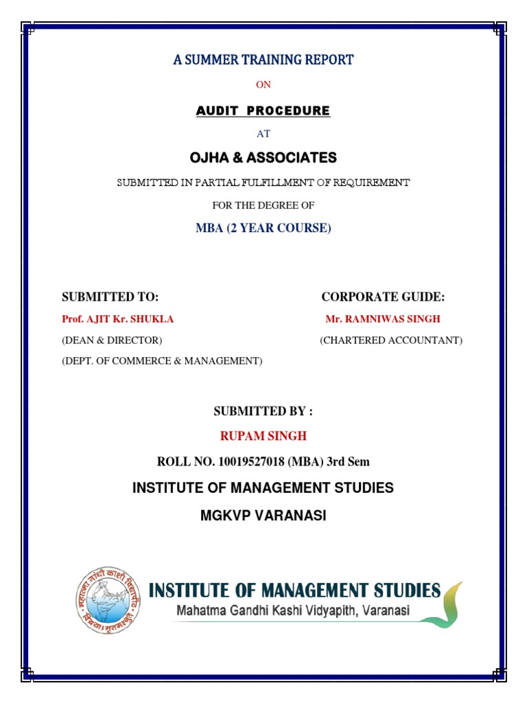 Project Report On Audit Program | PDF | Financial Audit | Internal Control