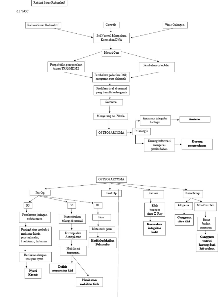 Woc Osteosarcoma | PDF