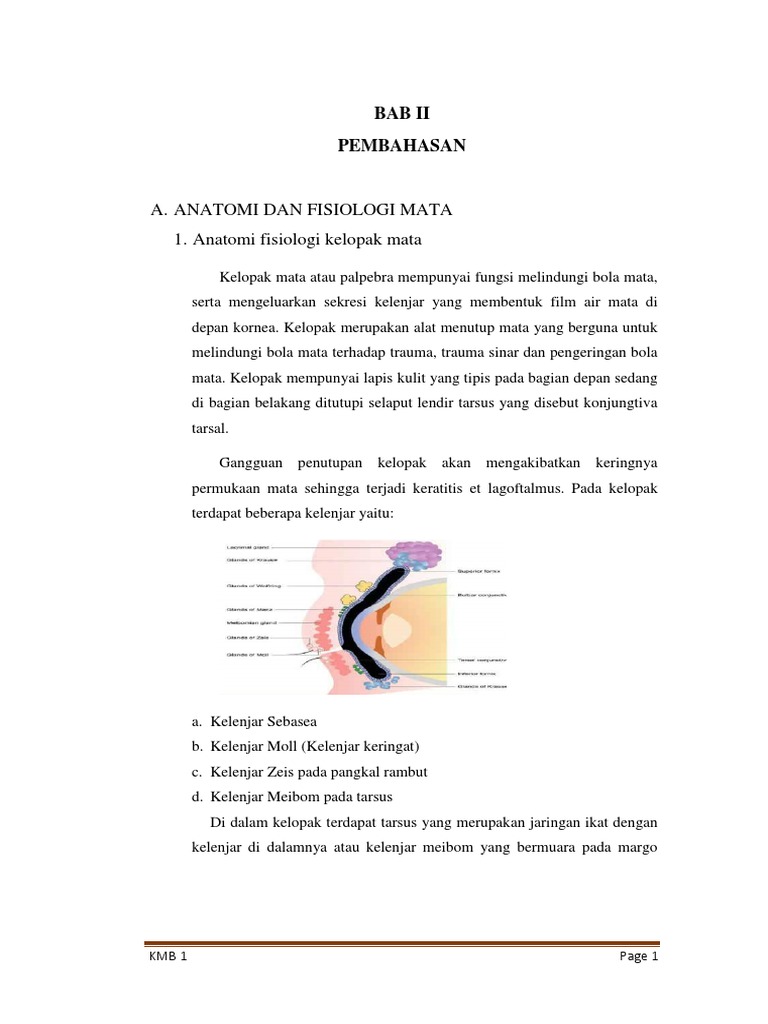 KMB Askep Peradangan Mata | PDF | Griya & Taman