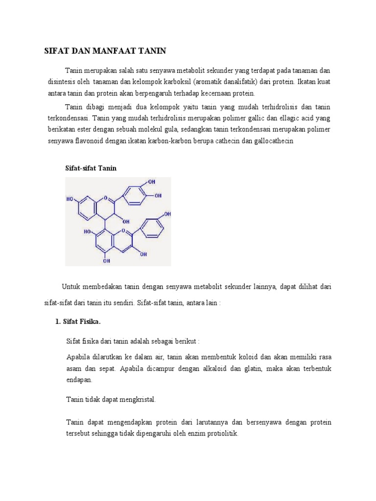 Sifat Dan Manfaat Tanin | PDF