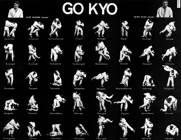 Judo GoKyo Poster | PDF