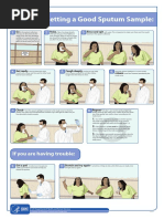 The Scientific Method With The Simpsons KEY | PDF | Experiment | Mouse
