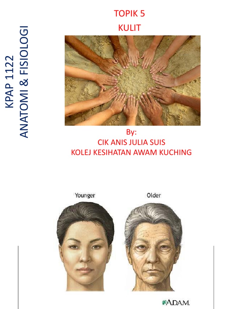 Topik 5 Kulit | PDF