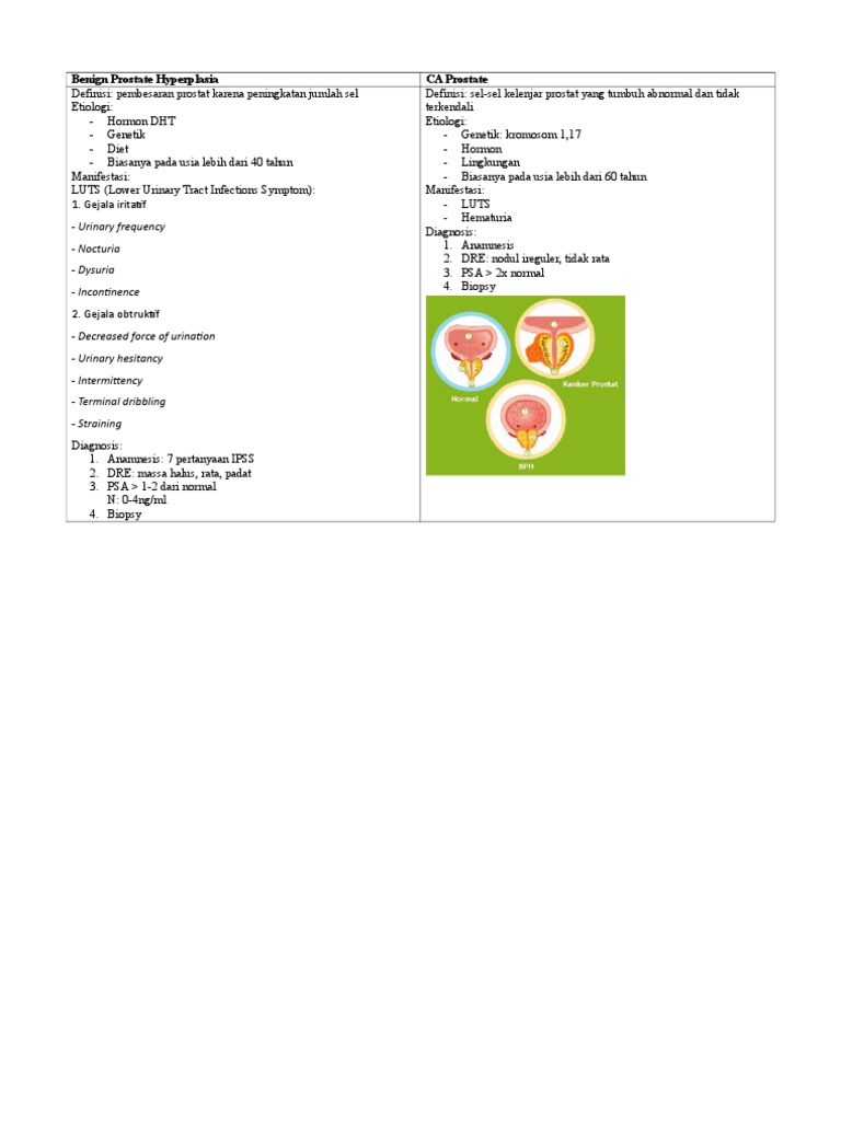 Perbedaan BPH dan Kanker Prostat | PDF