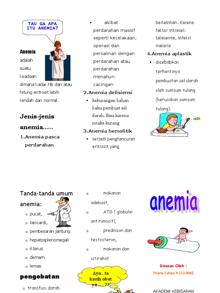 Leaflet ANEMIA | PDF