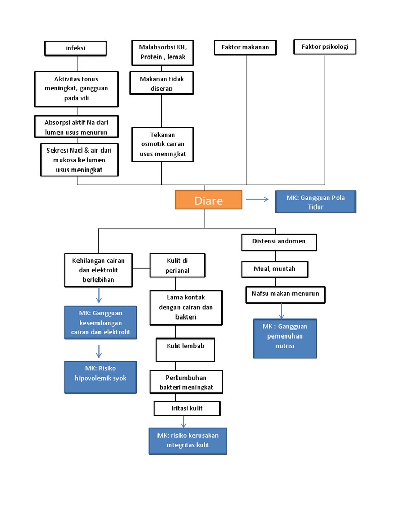 Woc Diare Akut | PDF