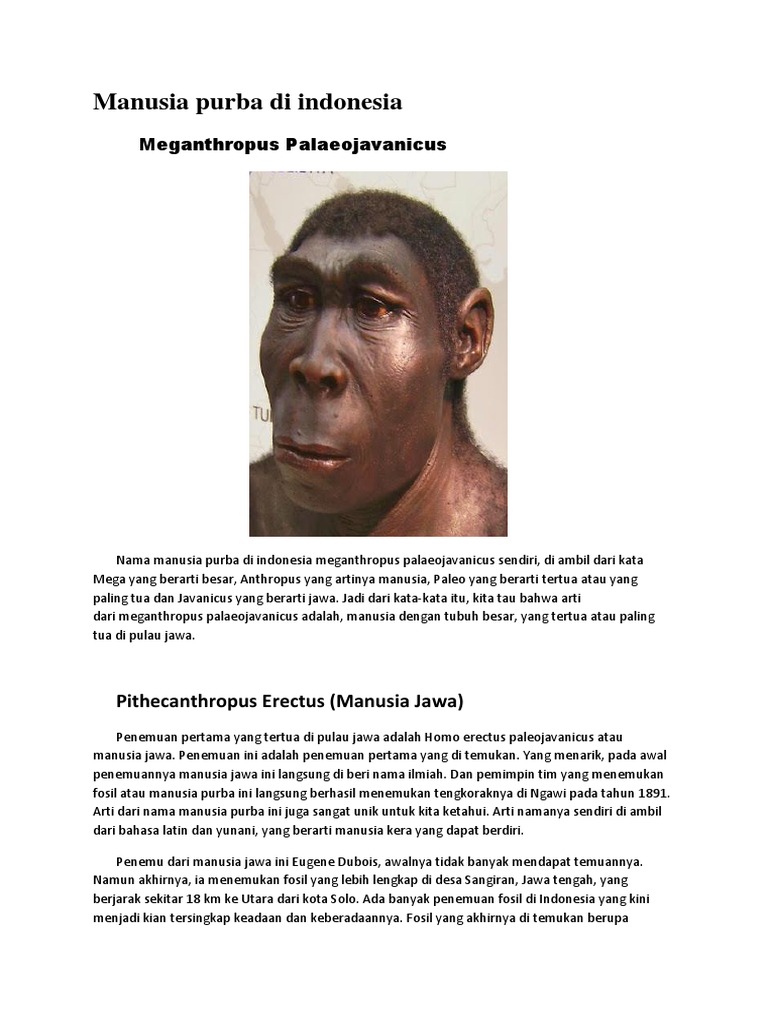Ciri dan Jenis Meganthropus Paleojavanicus | PDF