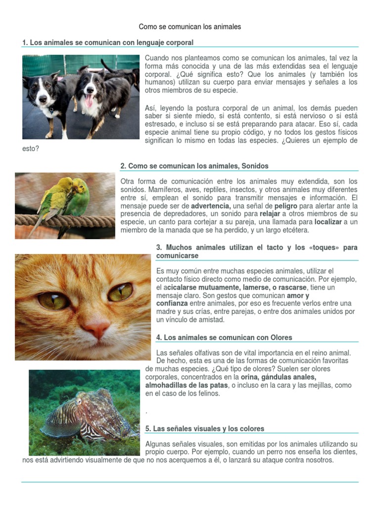 Como Se Comunican Los Animales | PDF | Oído | Audiología
