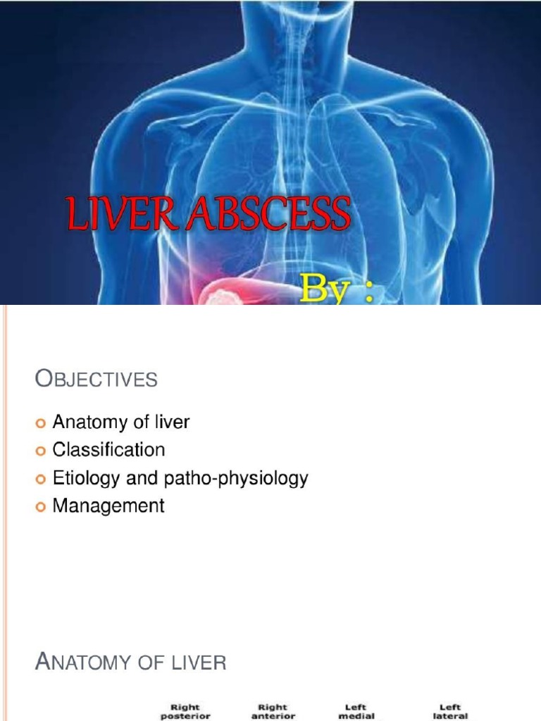 Liver Abscess - Its Pathophysiology and Management | PDF