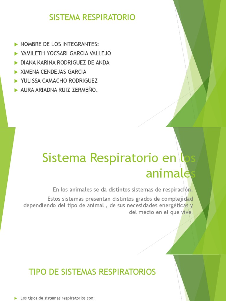 Sistema Respiratorio en Los Animales MVZ | PDF