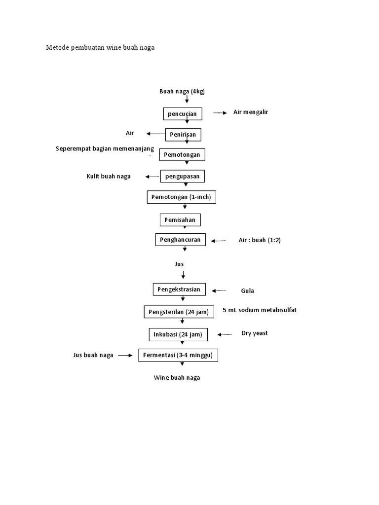 Metode Pembuatan Wine Buah Naga | PDF