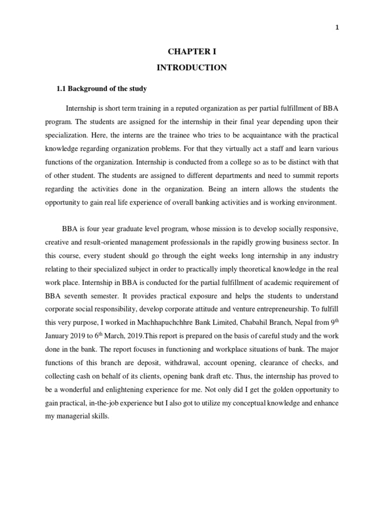 BBA Internship Reports | PDF