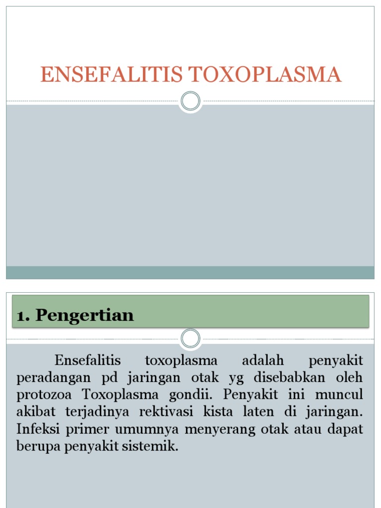 Ensefalitis Toxoplasma | PDF