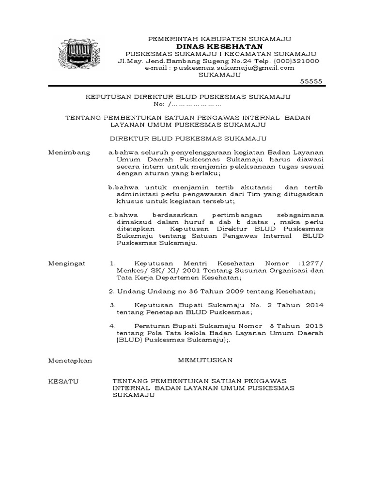 Contoh SK SPI BLUD | PDF