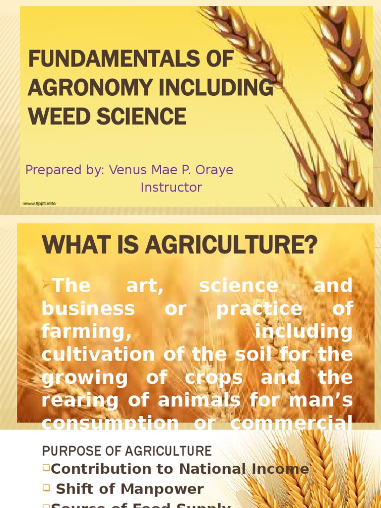 Fundamental of Agronomy 2 | PDF | Seed | Germination