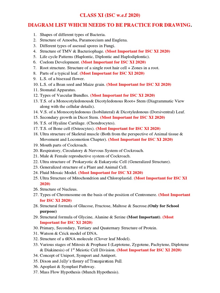 Isc Biology Class Xi Diagrams | PDF | Meiosis | Anatomy