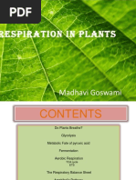 Respiration in Plants Ppt | PDF