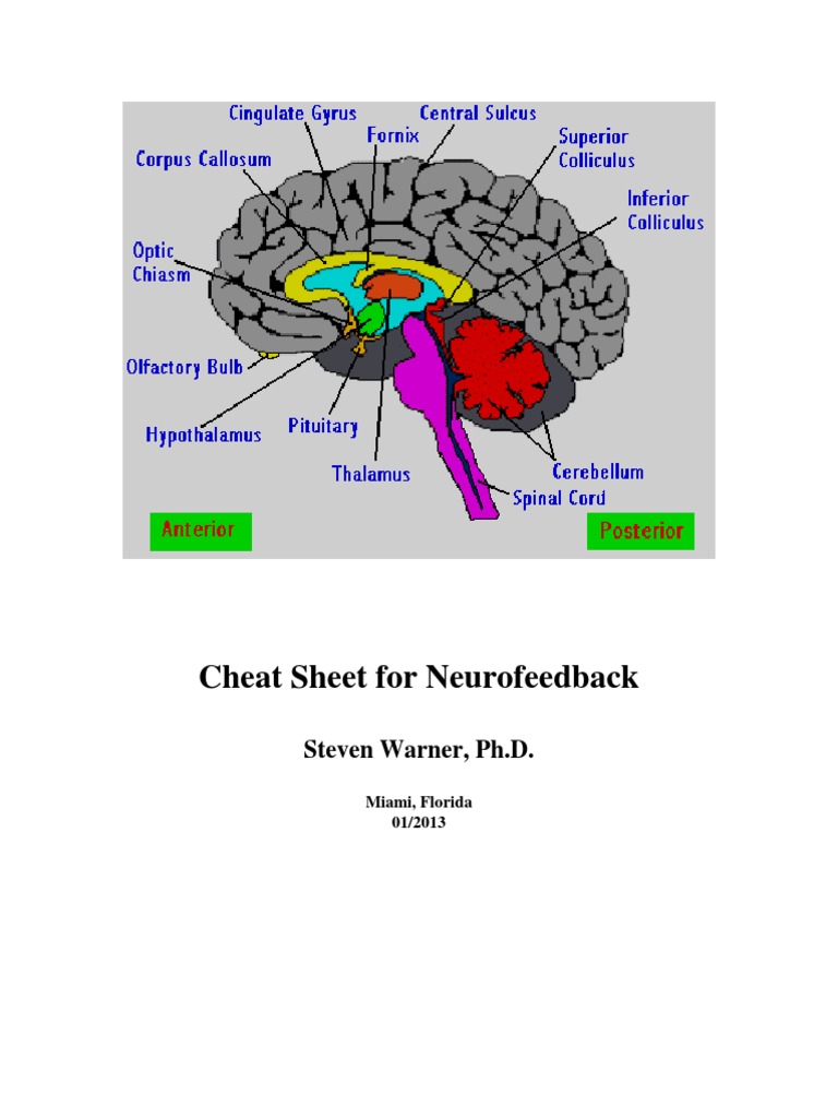 Neurofeedback Cheat Sheet PDF | PDF | Career & Growth