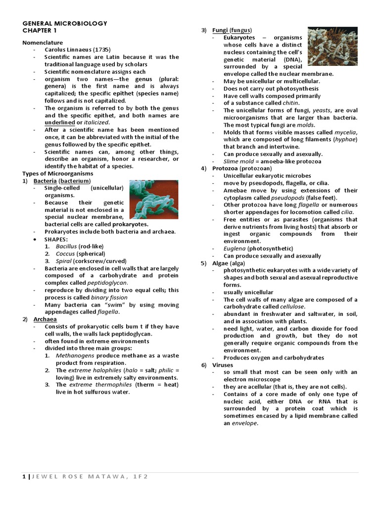 Microbiology Chapter 1 Reviewer | PDF